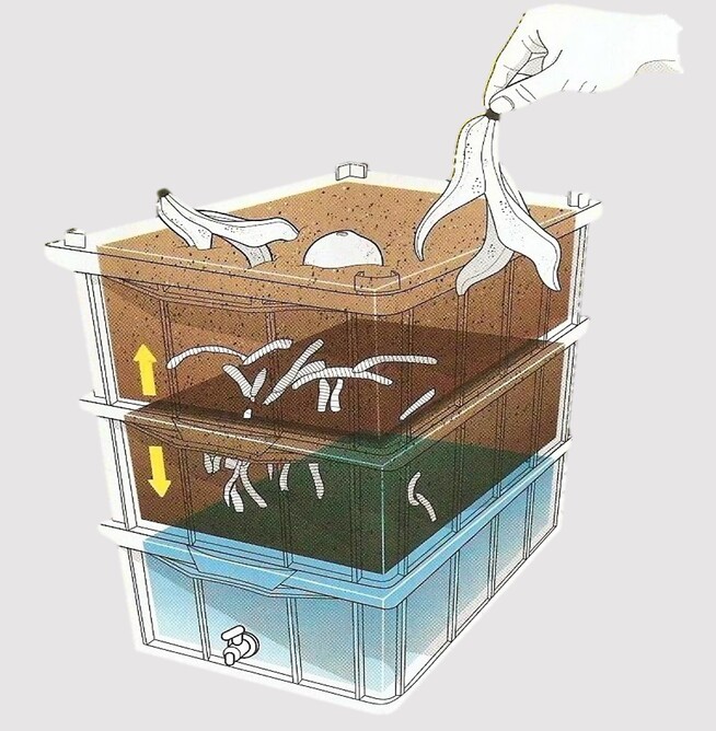 Compostagem doméstica: reaproveitamento de resíduos em pequena escala