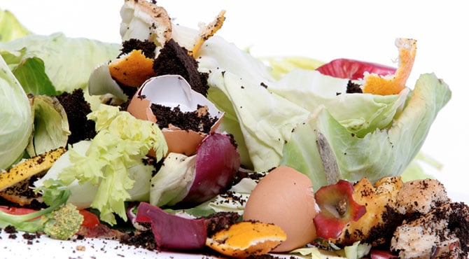 Afinal, o que são resíduos biodegradáveis?